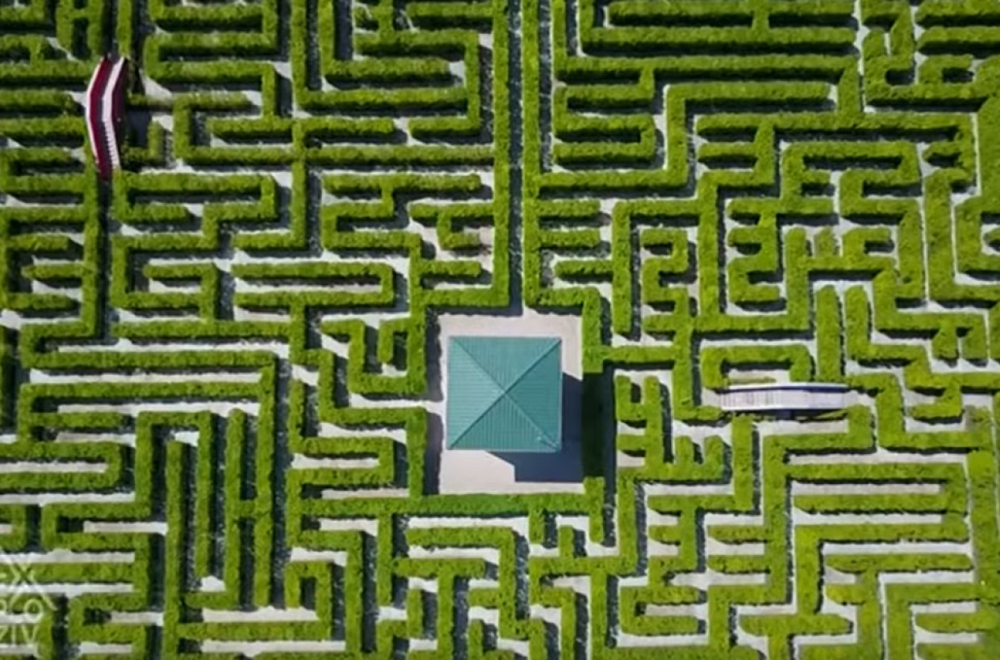 Najveći "živi" lavirint u Evropi se nalazi u Srbiji VIDEO - B92