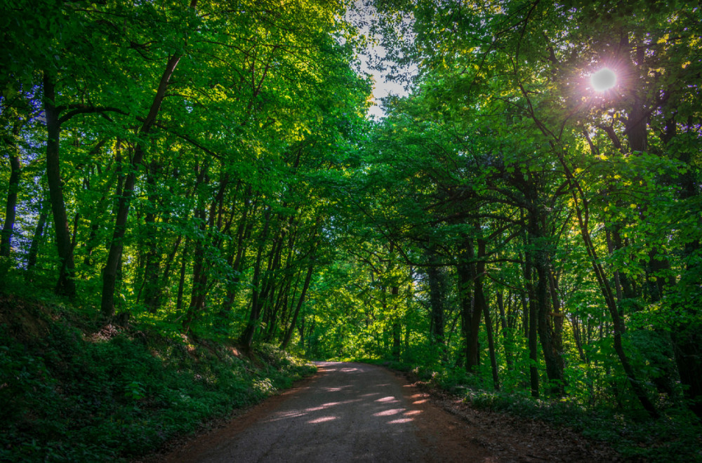 Kuda za 1. maj? Na Fruškoj gori se naplaćuje ulaz - B92