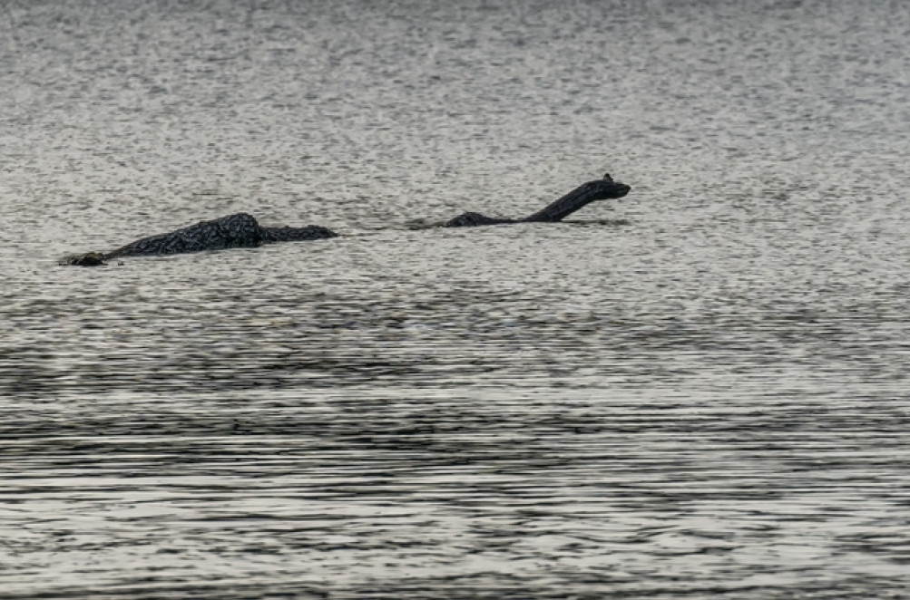 Novi snimak čudovišta iz Loh Nesa - B92