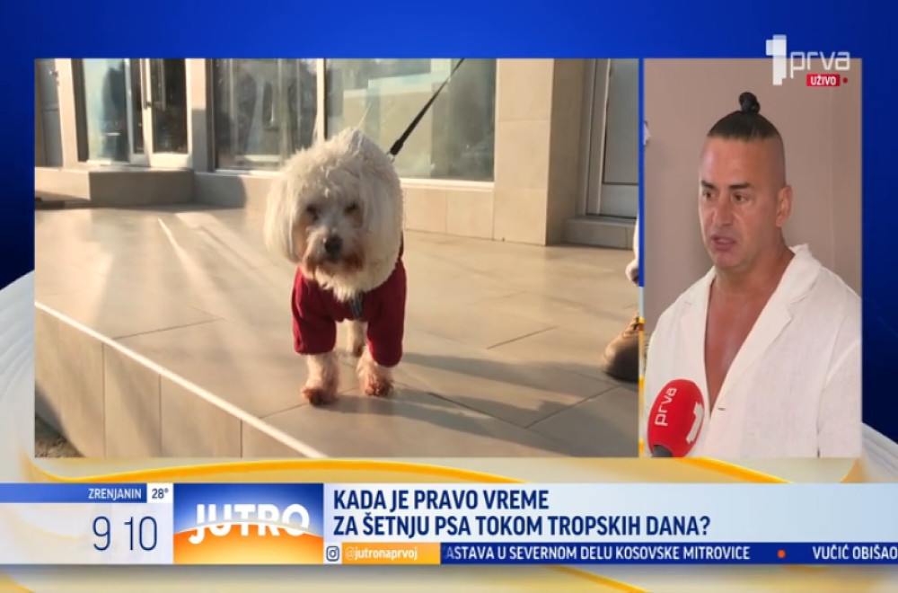 Kada je najbolje šetati pse leti? - B92