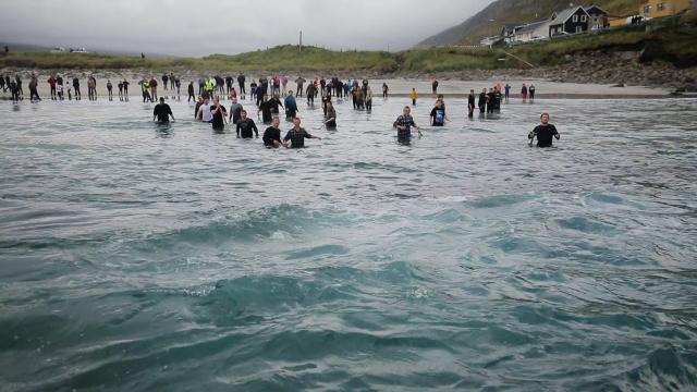 Vice na TV B92: Prva životinja u svemiru i Lov na kitove - B92