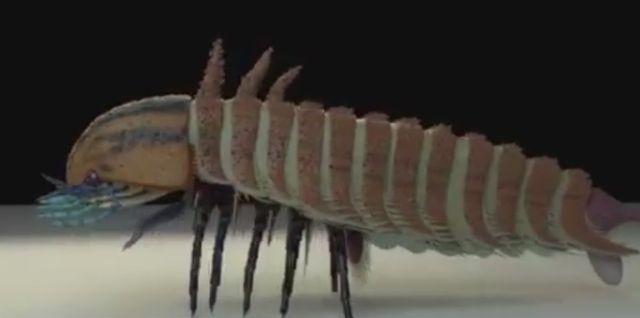 Ovo "čudovište" živelo je na Zemlji pre 508 miliona godina - B92