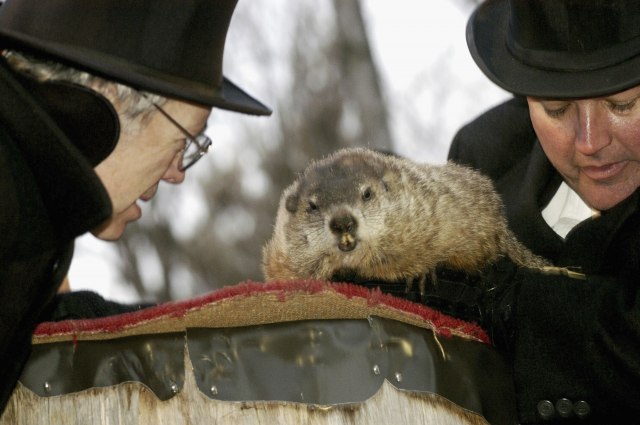 Danas je Dan mrmota: Fil nije video svoju senku, brzo će proleće - B92