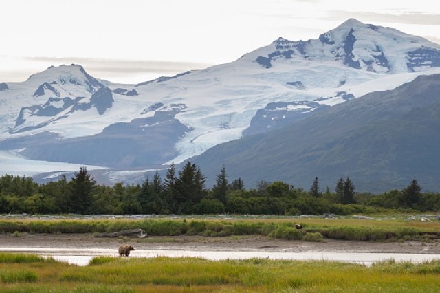 Savet "pravite se mrtvi" samo je mit: Park u kojem nema “medved free ...