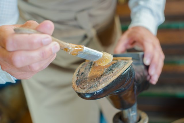 Zanatlije i mali preduzetnici mogu u svoje radnje, otvorene i zelene ...