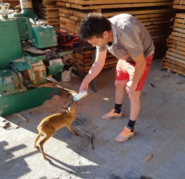 Neobičan gost stigao kod porodice Lišanin: Malo lane ne plaši se ni ...