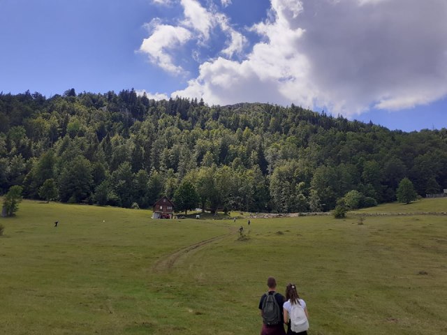 Najlepša srpska planina na kojoj sve mane gube na značaju - Tara FOTO ...