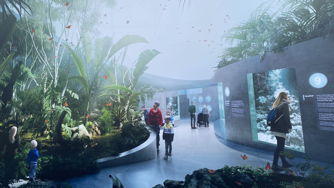 B92.net saznaje: Premešta se Beo zoo vrt – evo detalja FOTO/VIDEO/MAPA - Beograd - Društvo - B92 ...