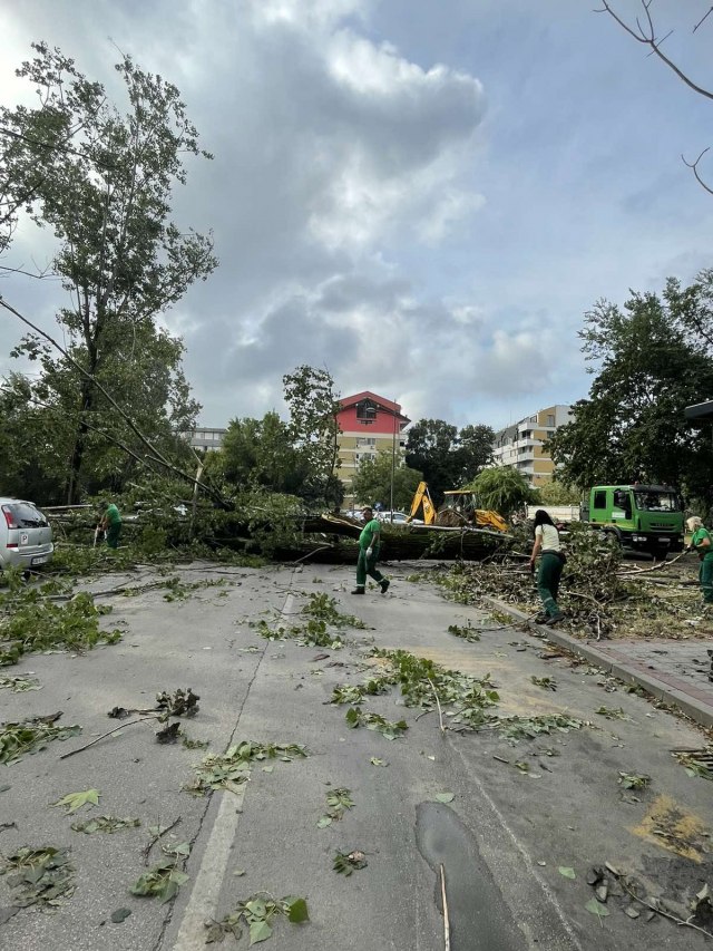 Za manje od dva dana više od 350 intervencija u Novom Sadu FOTO - B92