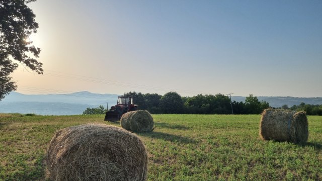 Placevi se prodaju "kao ludi": Mnogi žele doći u ovo srpsko selo - B92