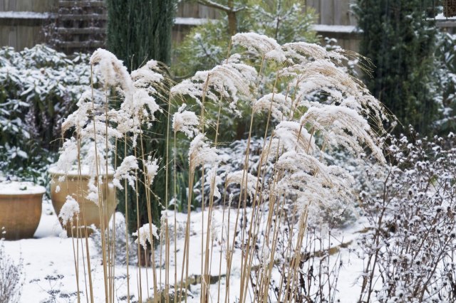 Nova najava RHMZ: Evo gde je u Srbiji moguć sneg - B92